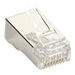 Black Box CAT6 Modular Plug - network connector