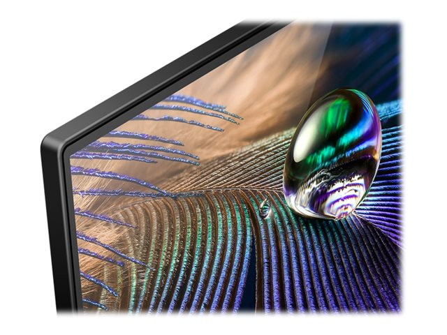 Sony Bravia Professional Displays FWD-55A90J 55" Class (54.6" viewable ...