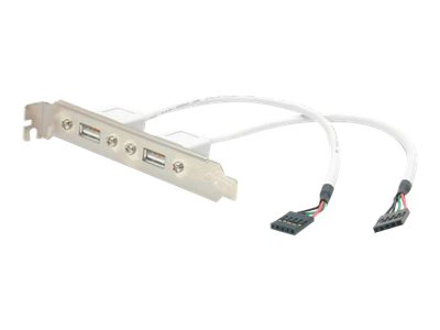 StarTech.com 2 Port USB A Female Slot Plate Adapter - USB panel - USB ...