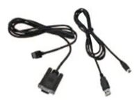 Seiko Instruments serial cable