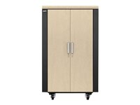 APC NetShelter CX - rack - 24U
