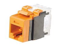 Panduit NetKey Category 6A Punchdown Jack Module - modular insert