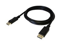 Total Micro Link DisplayPort cable - 6 ft