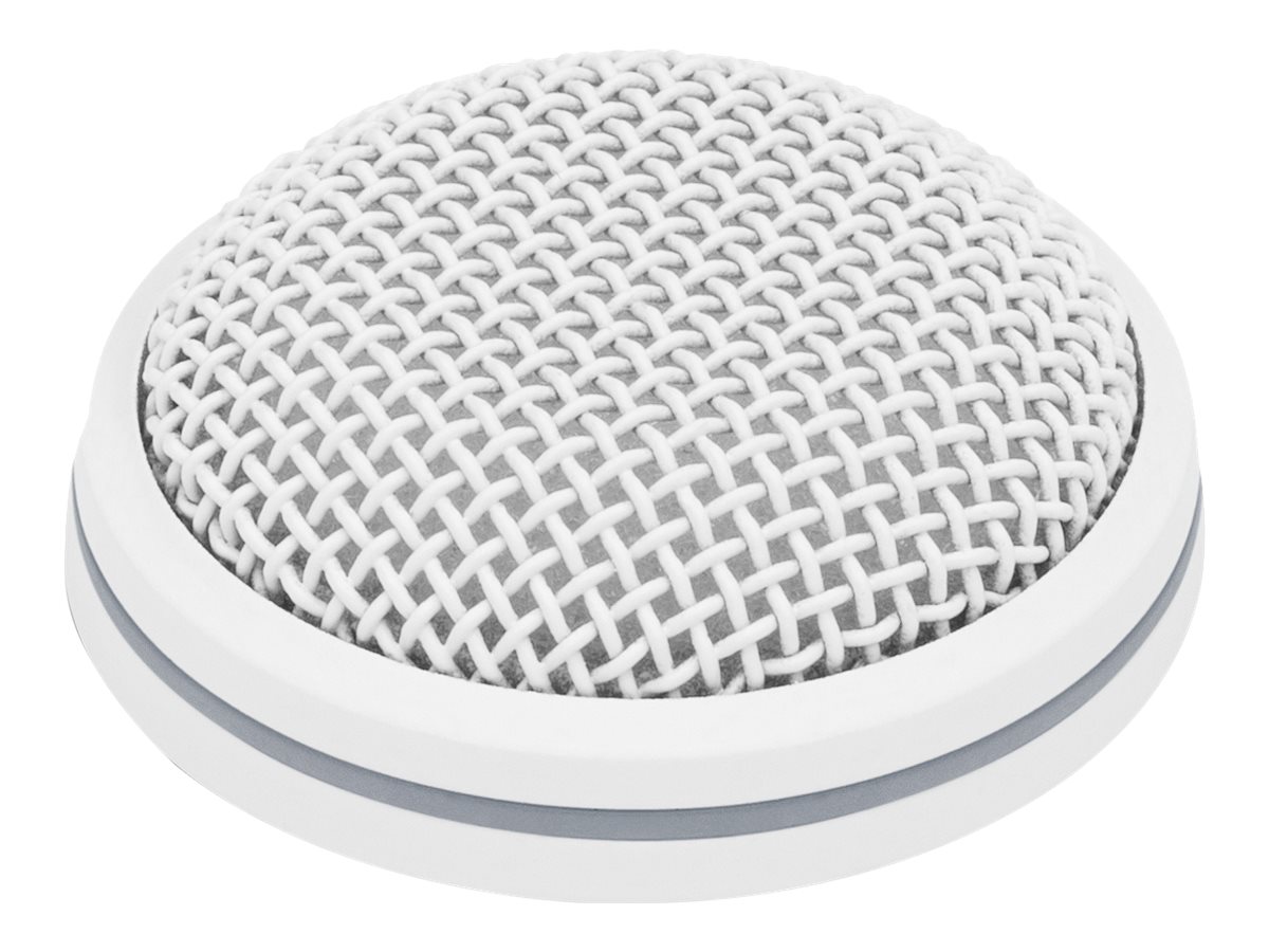 Installed boundary layer microphone | www.shidirect.com