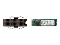 HP Z Turbo Drive - SSD - 512 GB