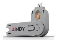 Lindy USB Type A Port Blocker Key - USB-Portblocker
