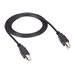 Black Box - USB cable - USB Type B to USB Type B - 15.7 ft