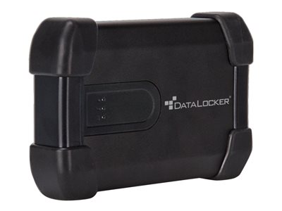 DataLocker IronKey H300 Basic - hard drive - 1 TB - USB 3.2 Gen 1