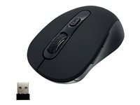 B3E - mouse - antimicrobial