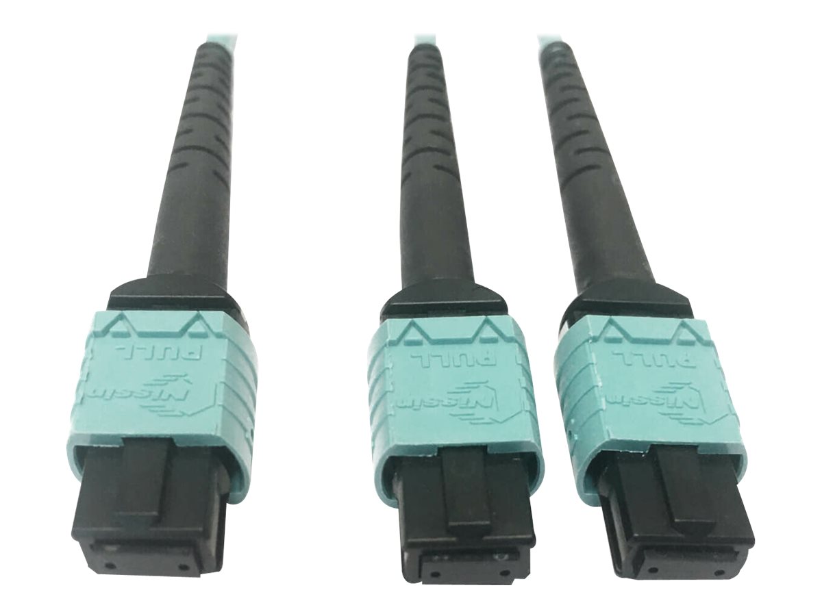 Eaton Tripp Lite Series 400G Multimode 50/125 OM4 Plenum Fiber Optic ...