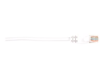 Black Box patch cable - 7 ft - white