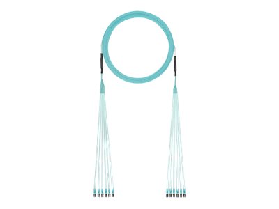 Panduit QuickNet - Trunk cable | Overview, Specs, Details | SHI