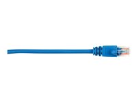 Black Box patch cable - 25 ft - blue