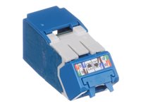 Panduit MINI-COM TX-6A 10Gig - modular insert