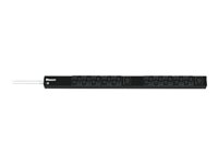 Panduit Basic Rack PDU - power distribution unit - 3300 VA