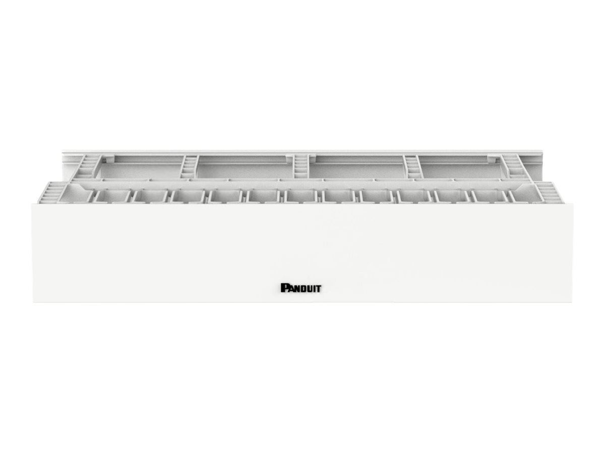 Panduit NetManager - Rack cable management panel | Overview, Specs ...