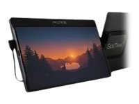 SideTrak Swivel - LCD monitor - Full HD (1080p) - 14"