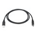 Black Box - USB cable - USB to USB Type B - 10 ft