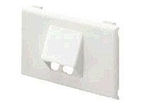 Panduit Pan-Way Classic Series Snap-on Horizontal Sloped Communication ...
