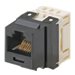 Panduit NetKey Punchdown Jack Module - modular insert