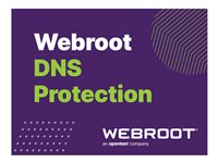 Webroot SecureAnywhere Business - DNS Protection - subscription license ...