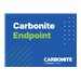 Carbonite Endpoint Professional Services AD/LDAP - configuration