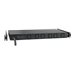 APC Basic Rack PDU - power distribution strip