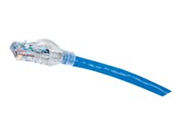 Belden 10GX Modular Cord - patch cable - 1 ft - black