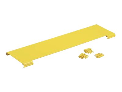 Panduit FiberRunner - Cable raceway dual downspout cover | Overview ...