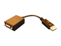 ViewSonic - video converter