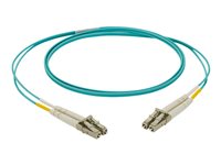 Panduit NetKey patch cable - 1 m - aqua