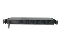 APC Basic Rack PDU - power distribution strip