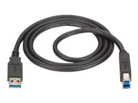 Black Box - USB cable - USB Type A to USB Type B - 6 ft