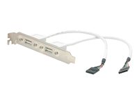 StarTech.com 2 Port USB A Female Low Profile Slot Plate Adapter