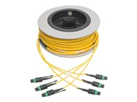 Tripp Lite MTP/MPO (APC) Singlemode Slim Trunk Cable, 24-Strand, 40/100 ...