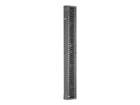 Panduit PatchRunner 2 - rack cable management panel (vertical) - 42U