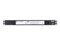 APC NetBotz Rack Monitor 250 - environment monitoring device