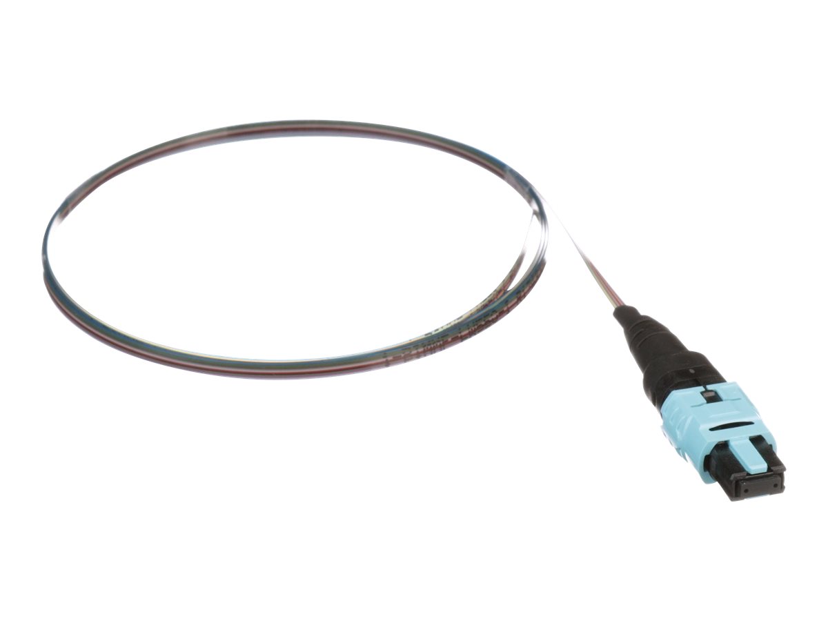 Panduit QuickNet PanMPO/MPO Ribbon Pigtail Assembly | Overview, Specs ...