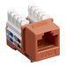 Black Box Value Line CAT6 - modular insert