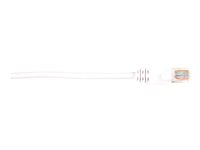 Black Box patch cable - 7 ft - white