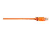 Black Box patch cable - 20 ft - orange