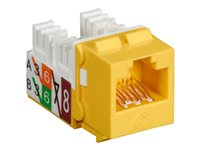 Black Box GigaTrue2 CAT6 Jack - modular insert