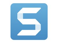 TechSmith SnagIt - New license - 1-4 users - Commercial