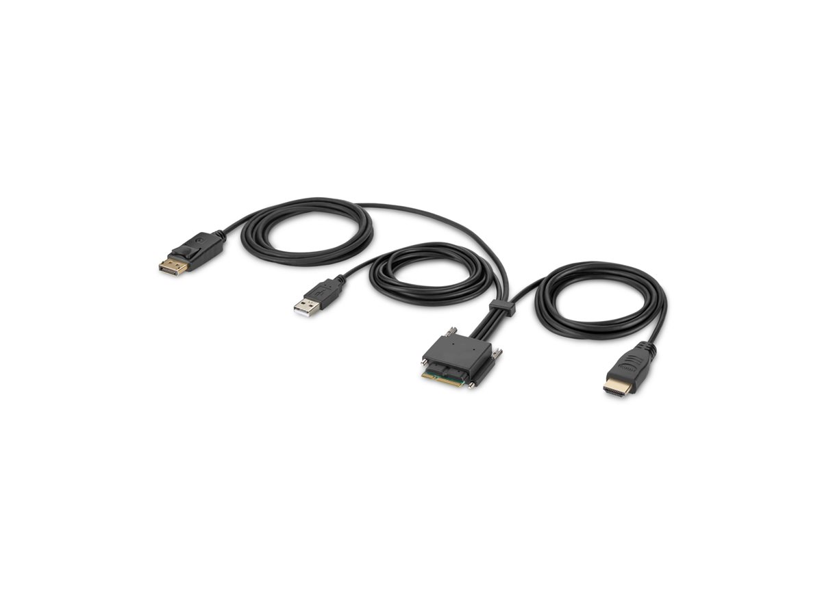 Belkin Secure Modular HDMI and DP Dual Head Host Cable | SHI