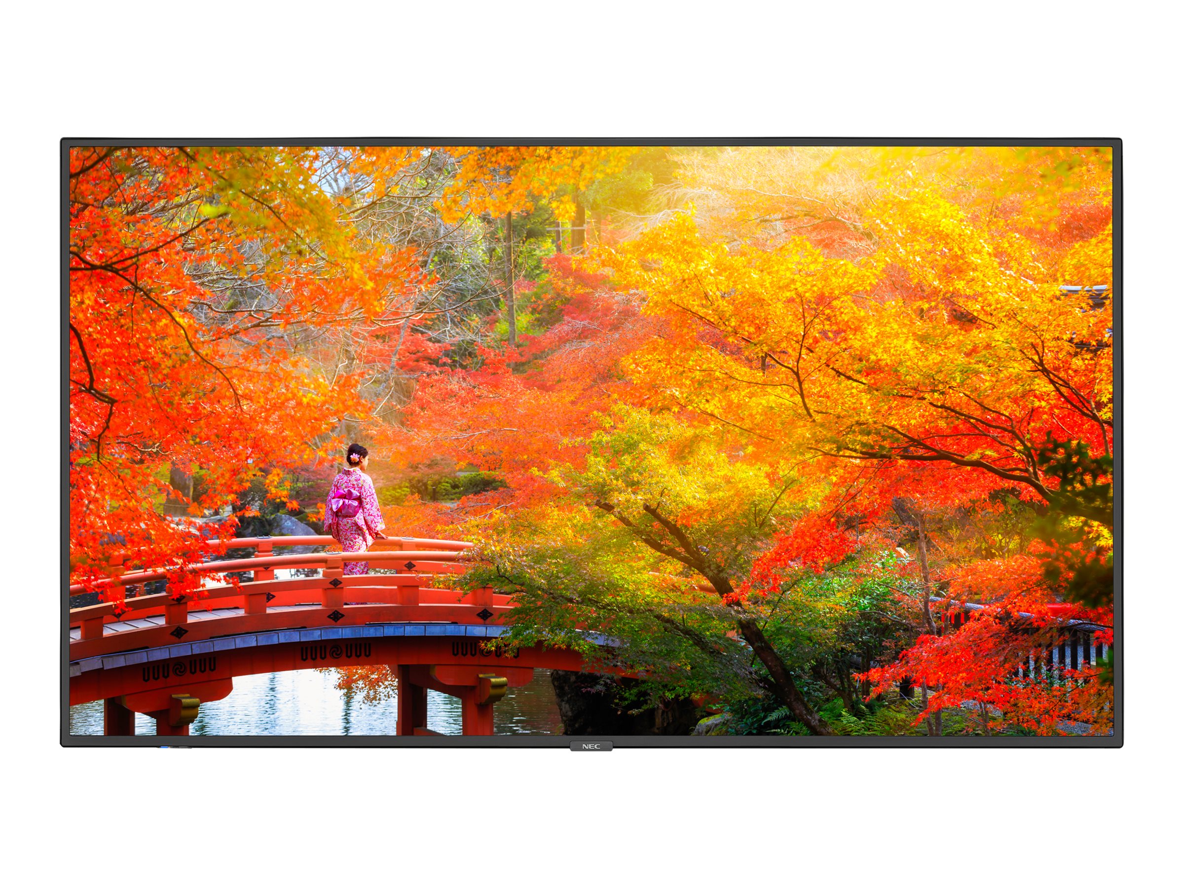 NEC MultiSync MA491-MPI4E | www.shi.com