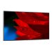 NEC MultiSync MA491 MA Series - 49" LED-backlit LCD display - 4K - for digital signage