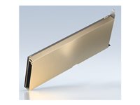 NVIDIA A10 - GPU computing processor - NVIDIA A10 Tensor Core - 24 GB