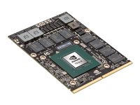 NVIDIA Tesla P6 - GPU computing processor