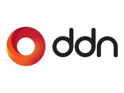 DDN - Rack - 45U | www.shi.com