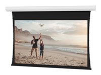 Da-Lite Tensioned Contour Electrol Projection Screen - 164in
